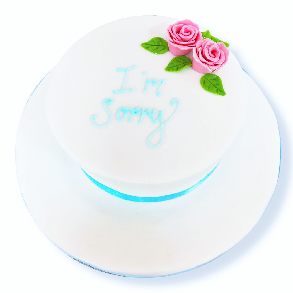 I'm Sorry Cake- Free Nationwide Delivery — New Cakes